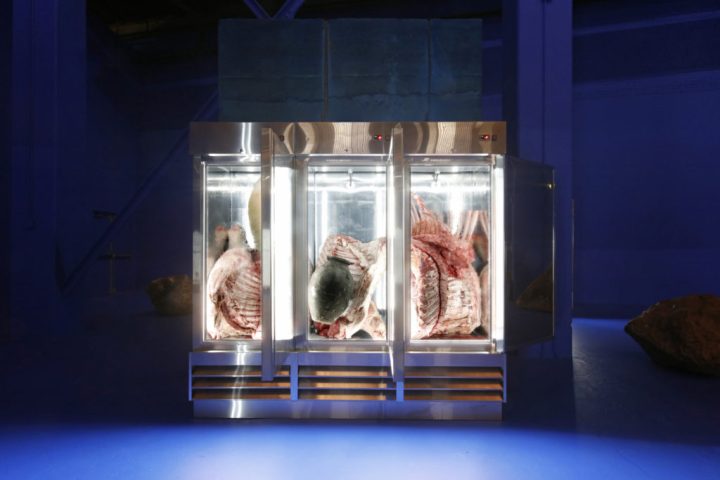 Decomposing art: How museum professionals treat living matter ...